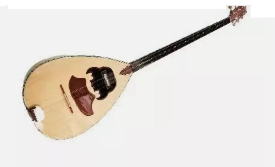 Arab Kurdish Buzuq With Mastex Pickup Yp3 – Unosell Muzik Enstrumanlari